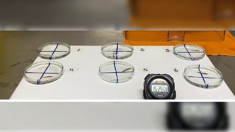 Pesquisa Unifor: Artigo analisa atuação de hormônio na redução de dor ...